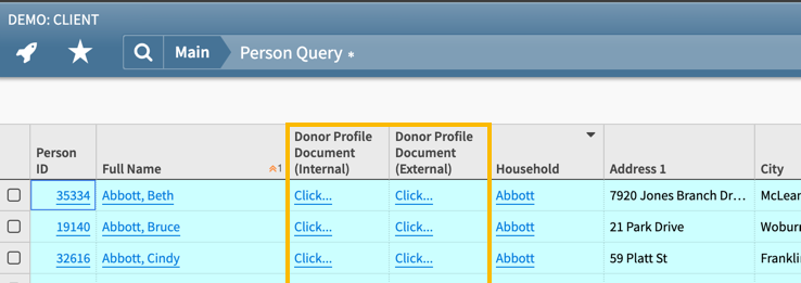 Donor Profile Document