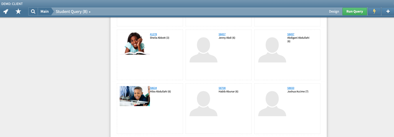 Query Visualization Options