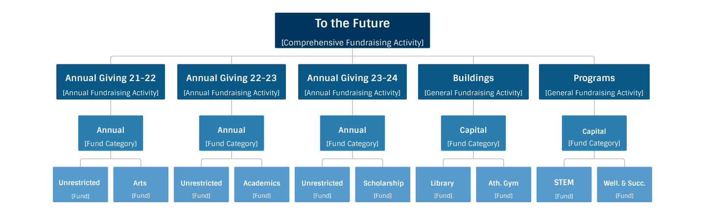 Sample Fundraising Structures for Development 3