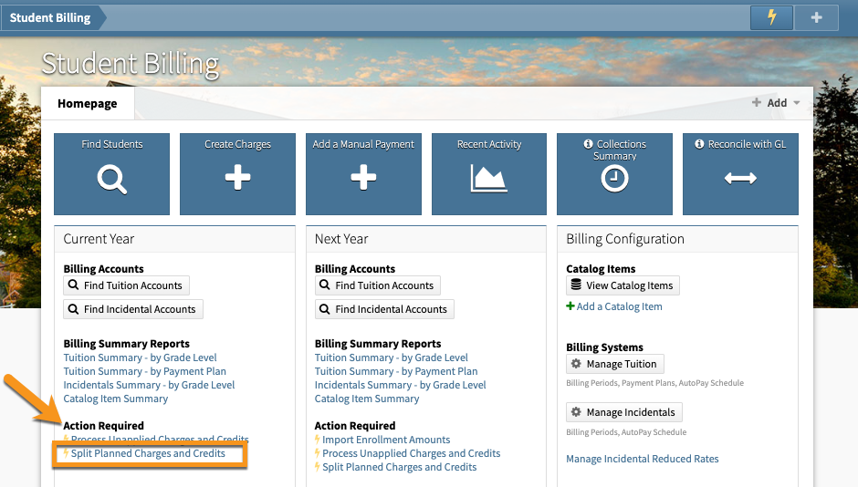 How to Split Billing Items into Installments